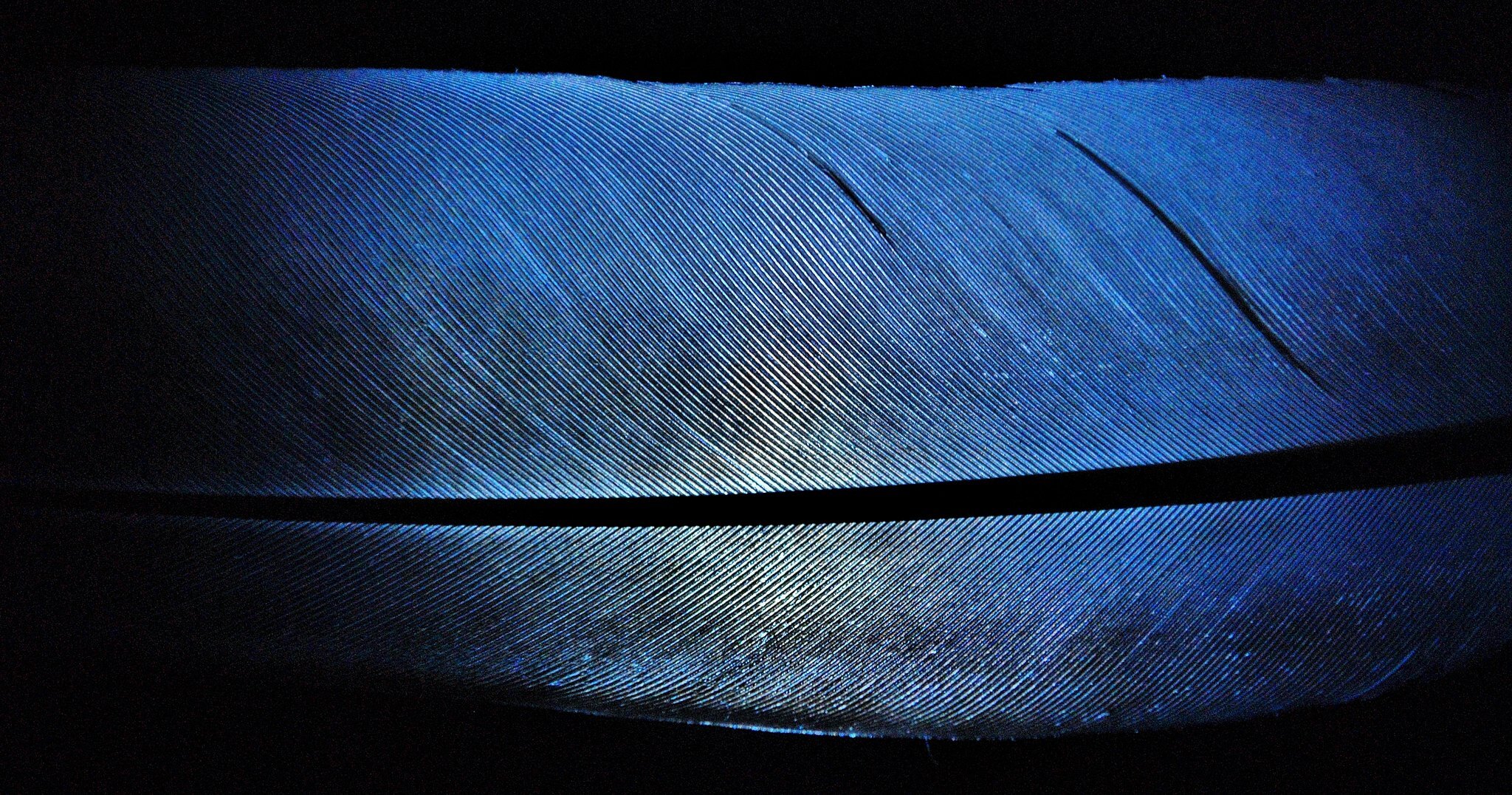 "Origin of… | B-PHOT Brussels Photonics | Vrije Universiteit Brussel